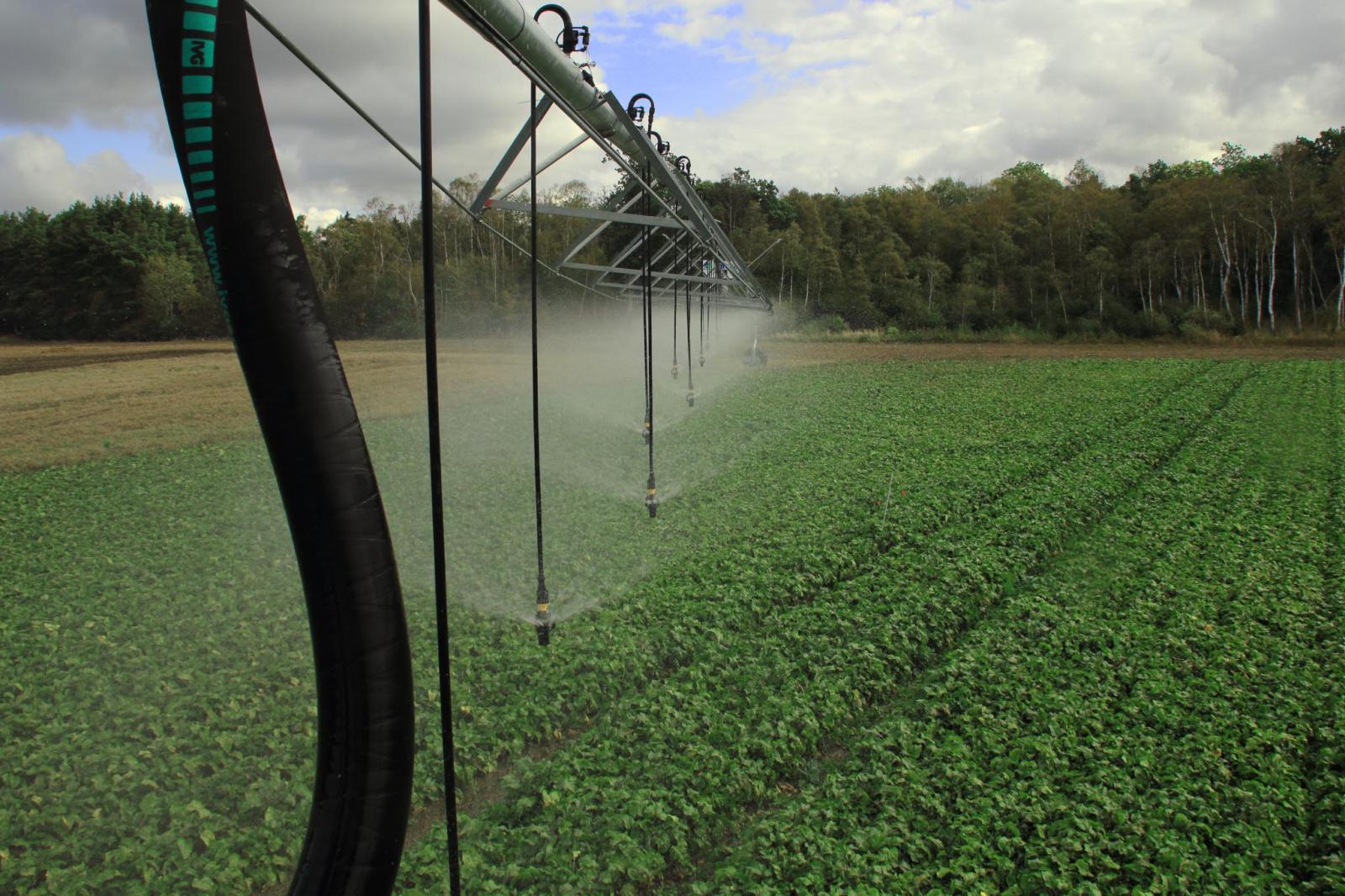 VRI - Variable Rate Irrigation - BAUER Brasil