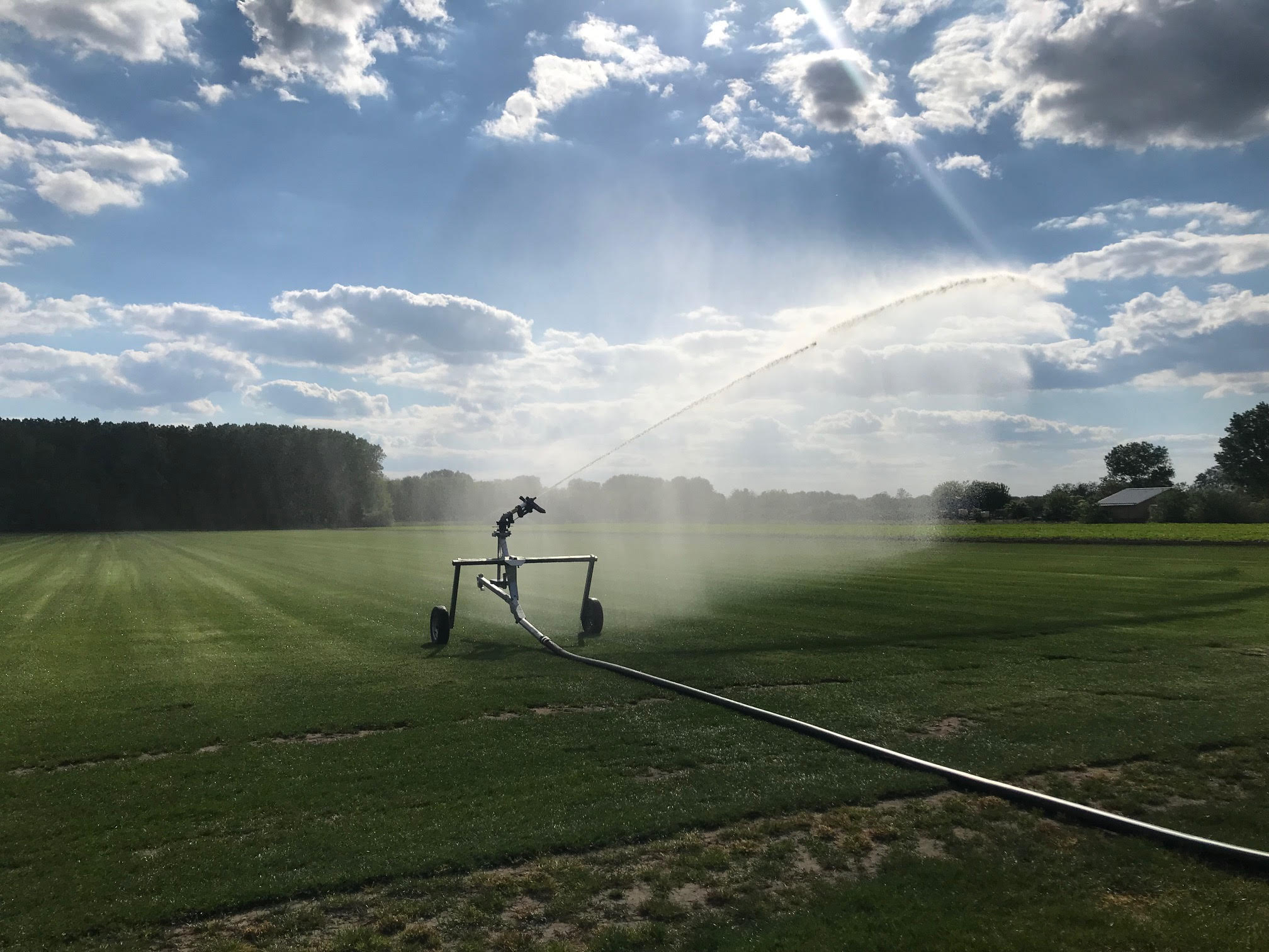 Sprinklers - BAUER Brasil