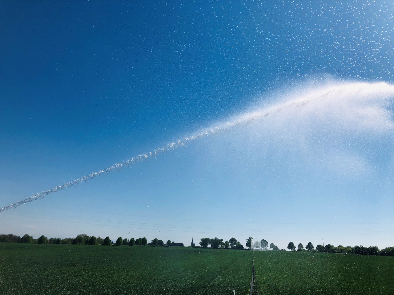 Sprinklers - BAUER Brasil