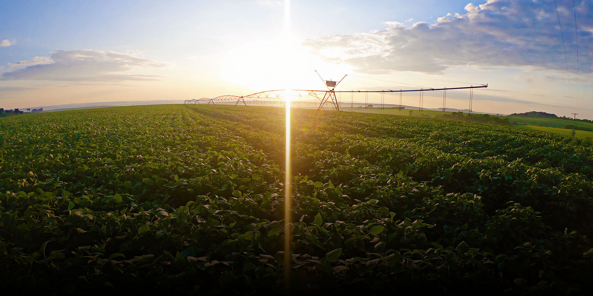 Contato - BAUER Brasil