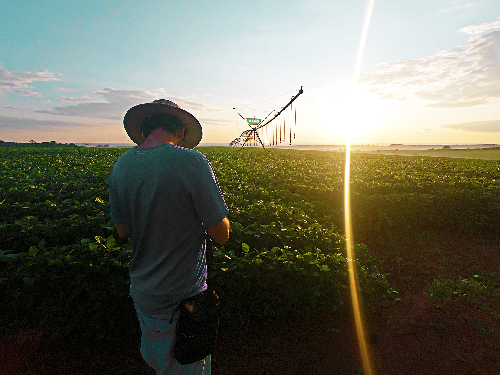 Contato - BAUER Brasil